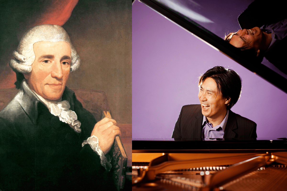 Haydn Seek! – Culture Plus